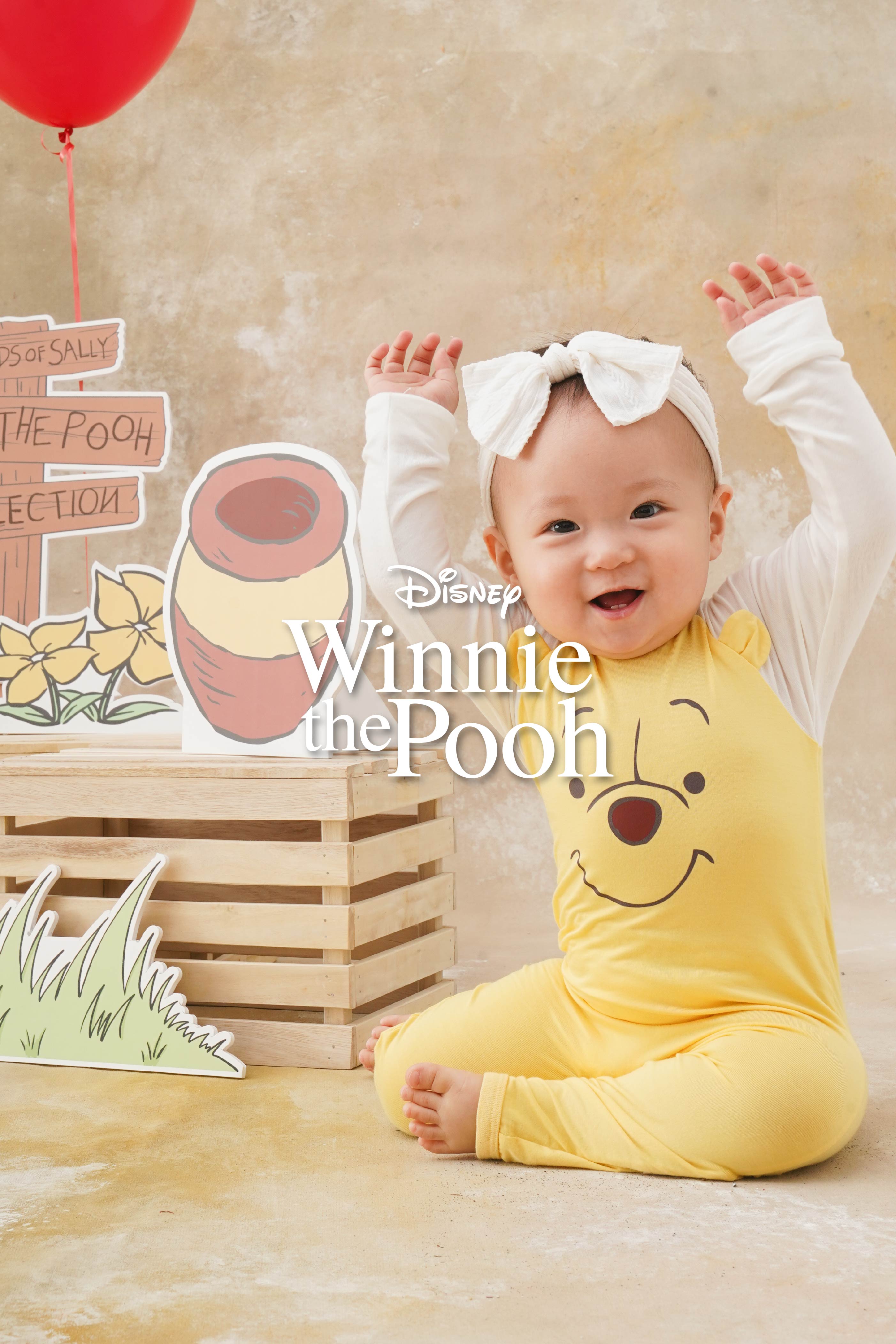Disney Pooh – Friends of Sally