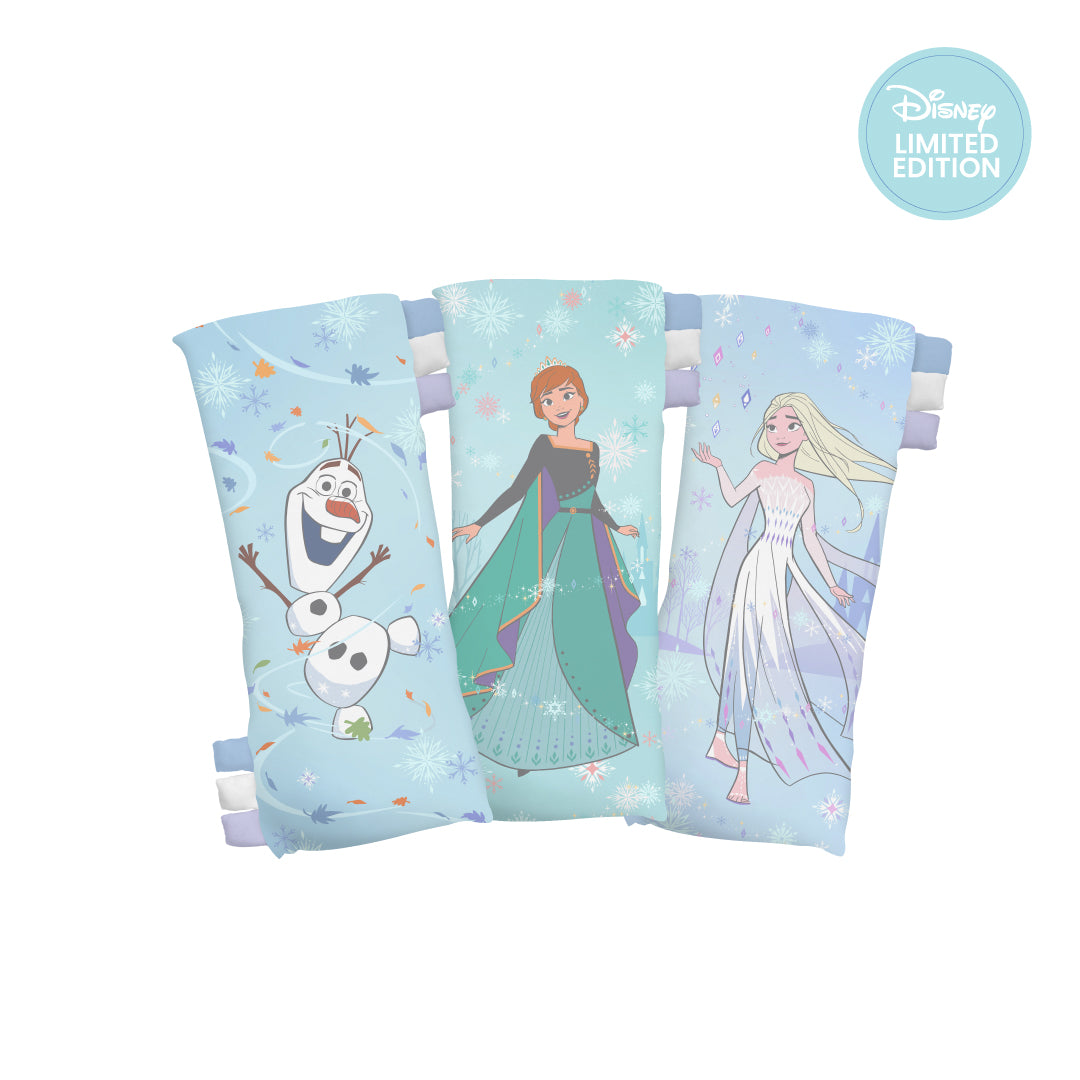 Regular Hug Pillow - Disney Frozen 2 – Friends of Sally